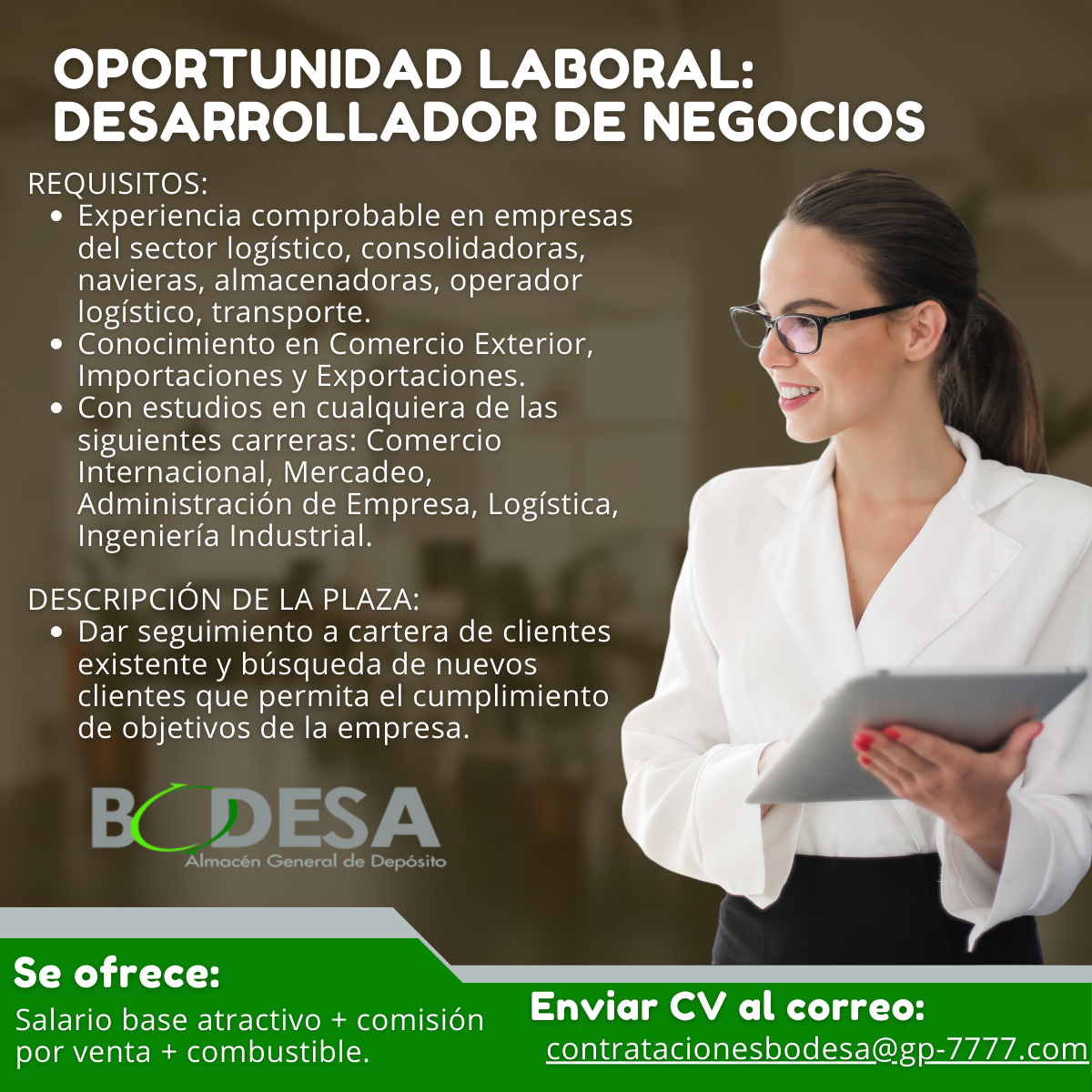 Bodesa – Almacenaje simple y fiscal